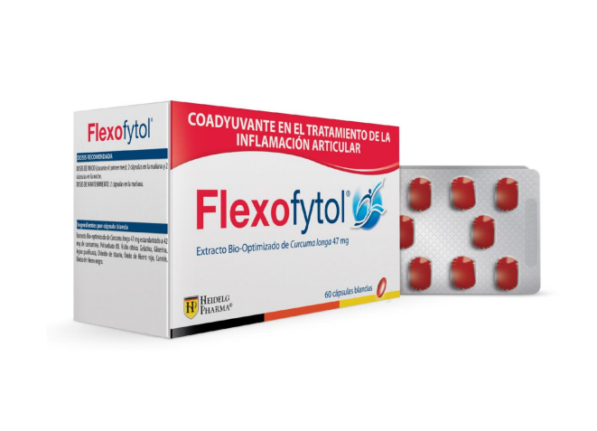 Estudio Flexofytol – E-learning