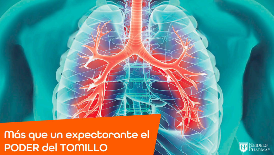 Cursos – E-learning